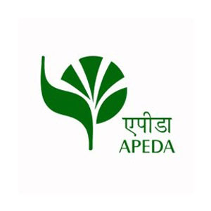 Home final - Rosinka Worldwide